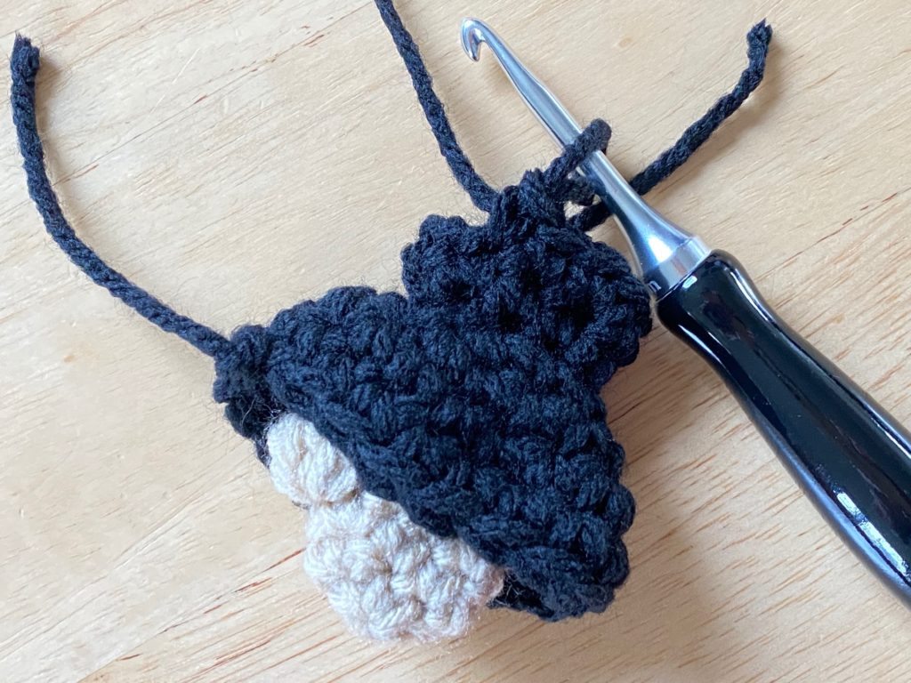 Wicked Witch of the West Hand Puppet - ekayg crafts